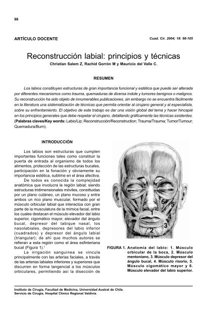 Reconstrucción labial: principios y técnicas - Universidad Austral de ...