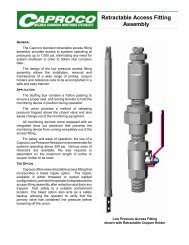 Injection / Sampling Systems Retractable - Caproco