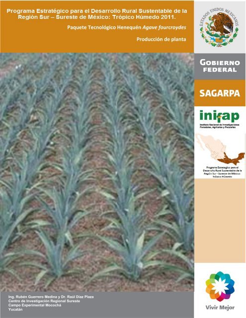 Paquete Tecnológico Henequén Agave fourcroydes Producción de ...