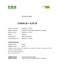 FT CoRoN 25-0-0 - Martinez & Valdivieso