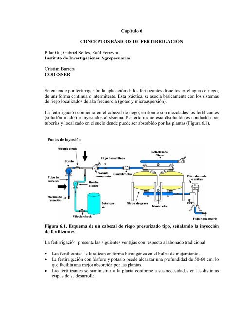 Manual de riego para paltos y cítricos. Capítulo 6 ... - Platina
