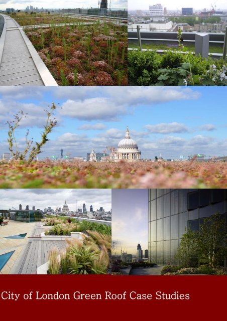 City of London Green Roof Case Studies