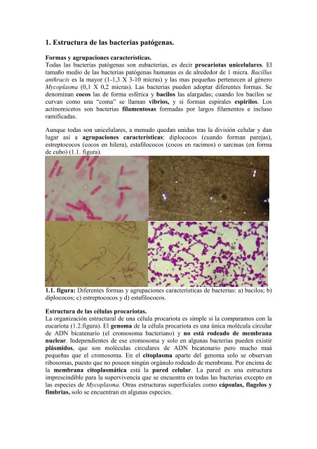 tema 1. Estructura de las bacterias patógenas