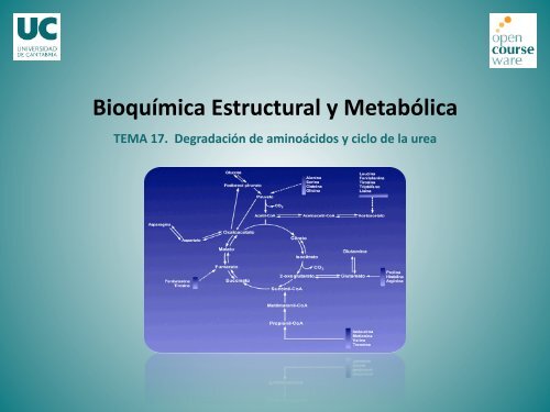 Bioquímica Estructural y Metabólica - OCW Universidad de Cantabria