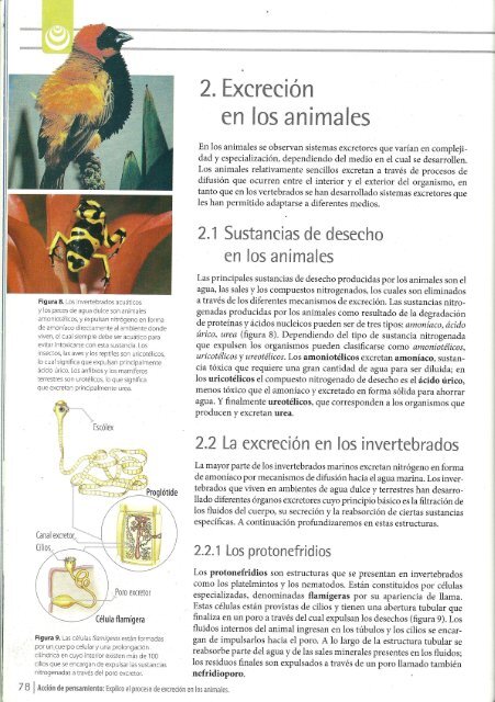 Excreción en los animales