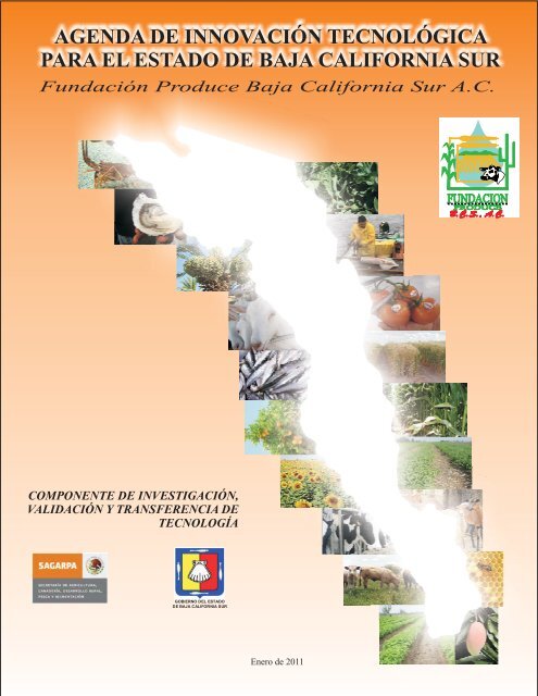 AGENDA DE INNOVACIÓN TECNOLÓGICA PARA EL ... - COFUPRO