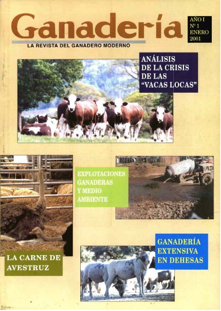 1 Ministerio De Agricultura Alimentación Y Medio Ambiente