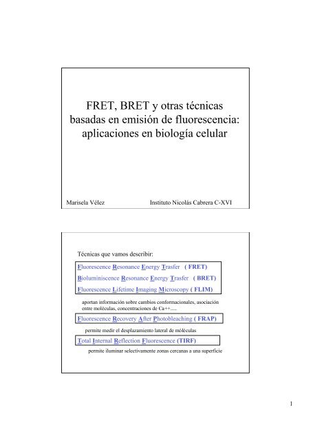 FRET, BRET y otras técnicas basadas en emisión de fluorescencia ...