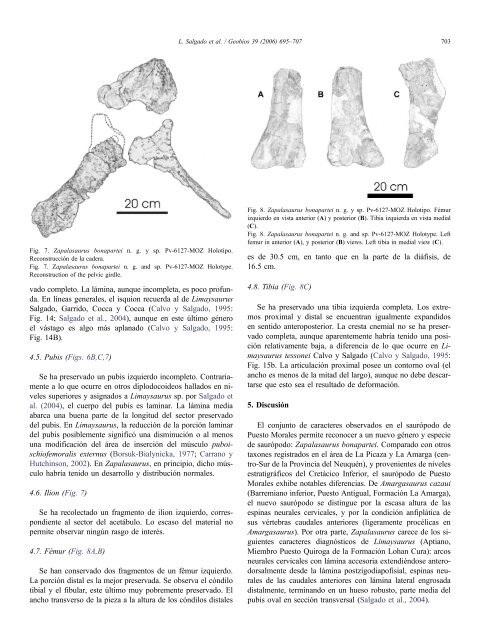 702 Cuadro 1 Medidas en c
