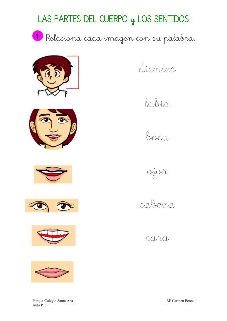 Partes del cuerpo y Los sentidos