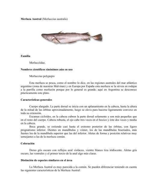 Merluza Austral (Merluccius australis)