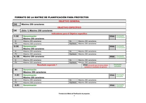 Formato de la Matriz de Planificación para proyectos