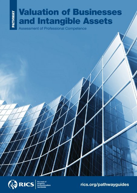 RICS Valuation of Businesses and Intangible Assets Pathway Guide
