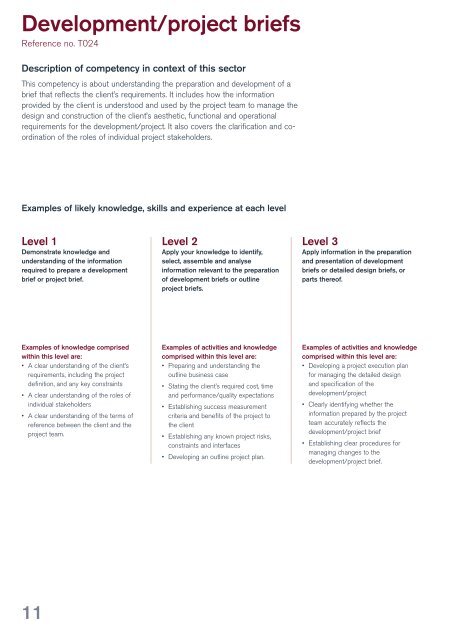 Development/project brief