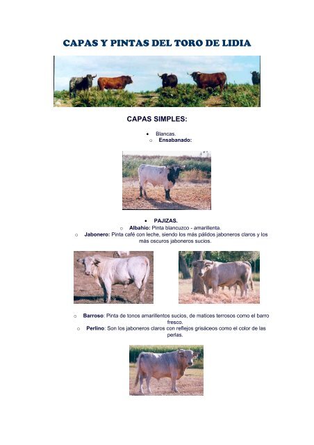 CAPAS Y PINTAS DEL TORO DE LIDIA - Toros y Corraleja