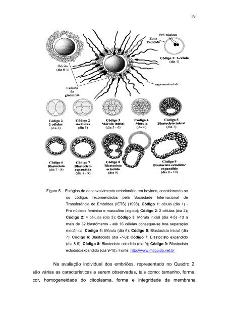 O filtro coletor deve ser