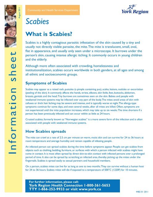 Scabies Information Printables