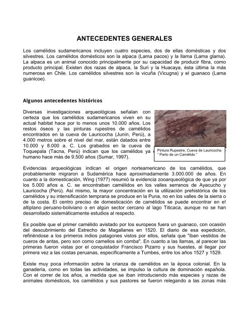 Manual de alpacas - Fundación CRATE