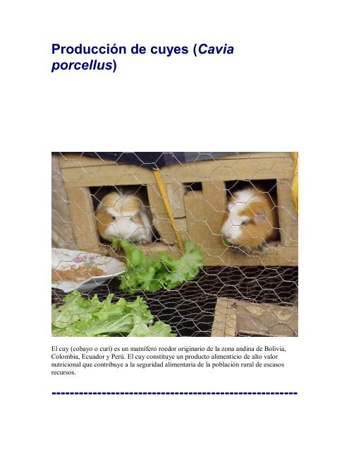 Producción de cuyes - Red de mujeres para el desarrollo