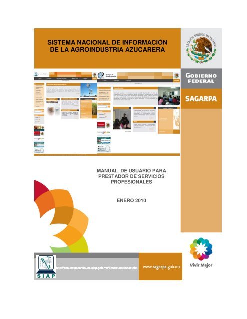 Manual para el registro de formatos - SIAP