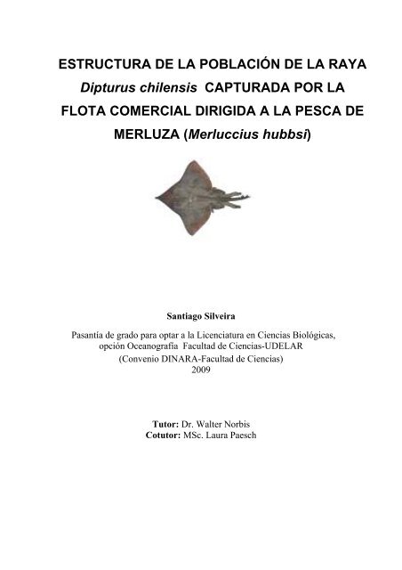 ESTRUCTURA DE LA POBLACIÓN DE LA RAYA Dipturus chilensis ...