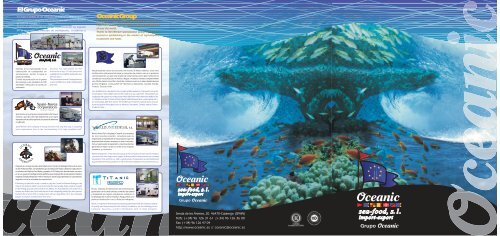 El Grupo Oceanic Oceanic Group