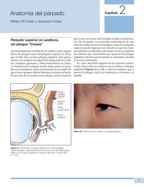 Anatomía del párpado - amolca
