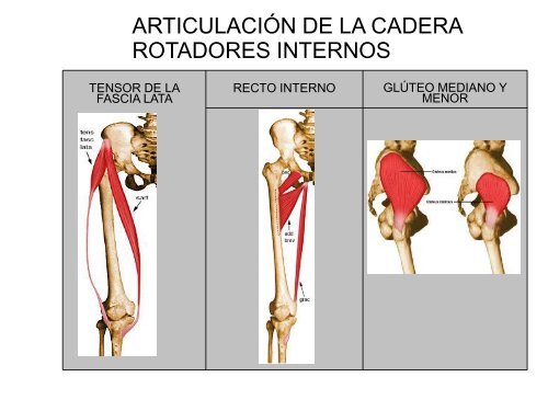 ROTADORES EXTERNOS Co