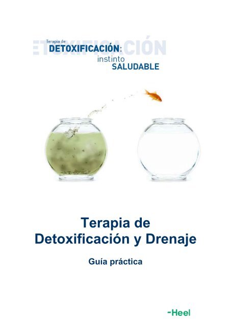 Terapia de Detoxificación y Drenaje - Heel Terapia de Detoxificación y Drenaje - Heel