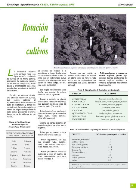 Cuadro De Rotación De Cultivos De Hortalizas