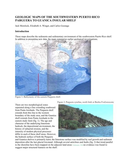 geologic maps of the southwestern puerto rico parguera to guanica ...