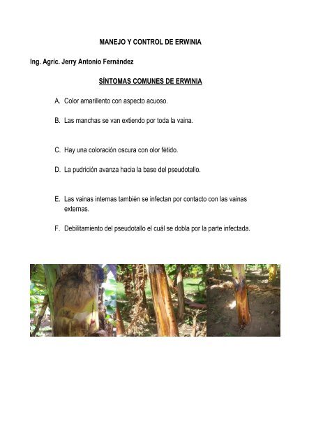 MANEJO Y CONTROL DE ERWINIA Ing. Agríc. Jerry ... - APLARI