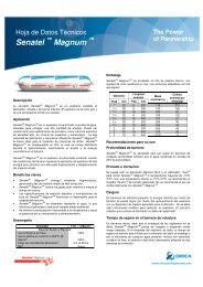 2.TDS Senatel MAGNAFRAC Ch Spa - Diexa SA