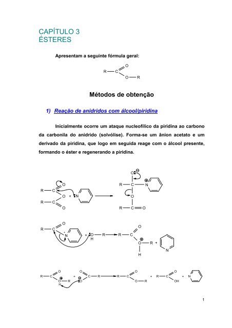 CAPÍTULO 3 ÉSTERES - USP