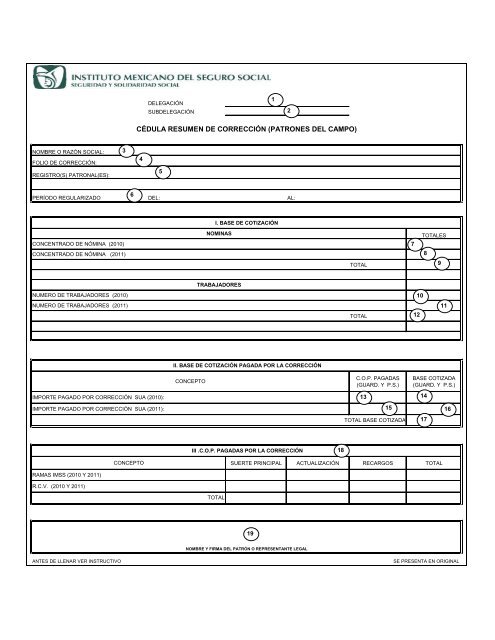 cédula resumen de corrección (patrones del campo) - IMSS