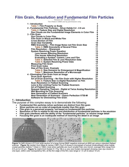 Film Grain, Resolution and Fundamental Film Particles