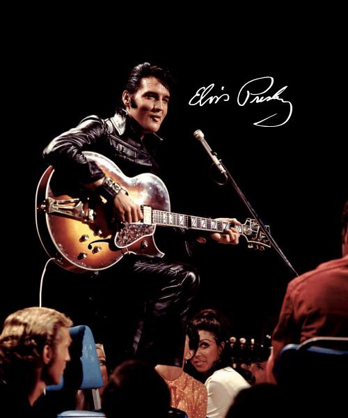 Elvis_Experience