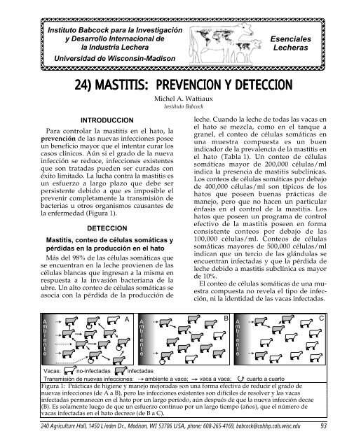 24) MASTITIS: PREVENCION Y DETECCION - Babcock Institute
