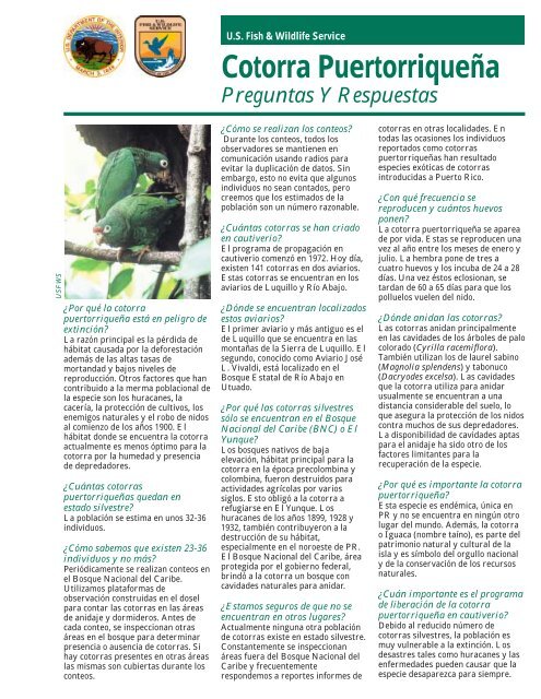 Cotorra Puertorriqueña - U.S. Fish and Wildlife Service