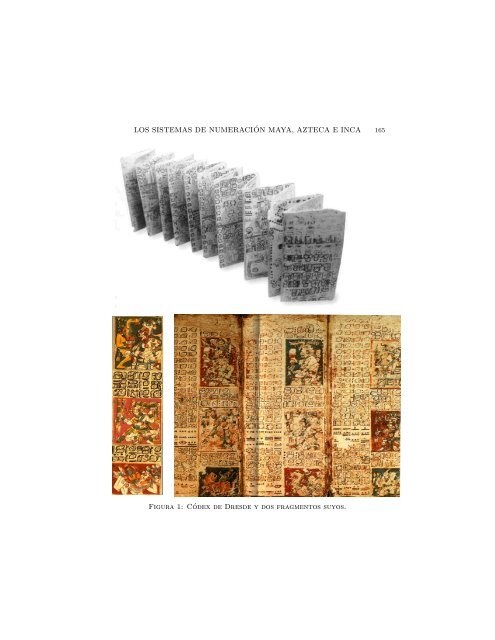 LOS SISTEMAS DE NUMERACI