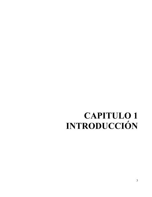 CAPITULO 1 INTRODUCCIÓN - UNAM