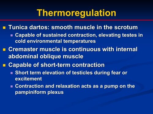 Thermoregulation