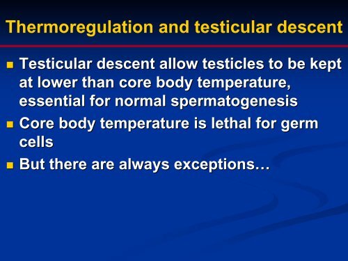 Thermoregulation