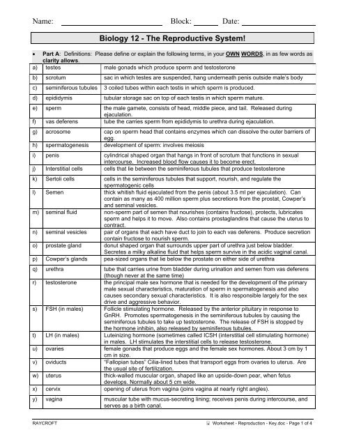 Biology 12 - The Reproductive System!
