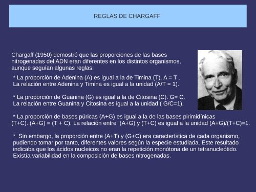 REGLAS DE CHARGAFF Charga