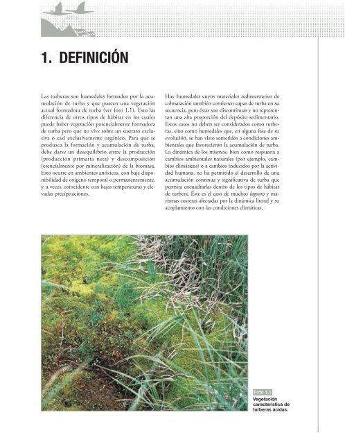 Turberas