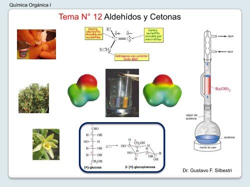 Propiedades Físicas Y Químicas De La Cetona – UHIW