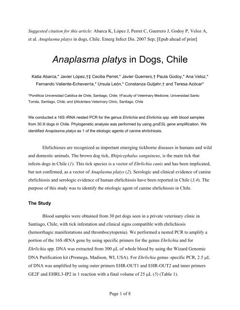 First Evidence of Anaplasma platys In Dogs With Ehrlichiosis In Chile