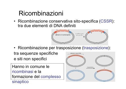 Ricombinazioni Ricombinazioni
