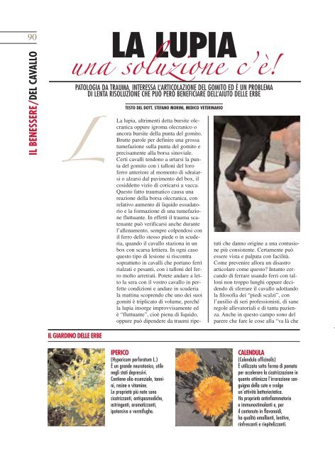 La lupia - una soluzione c'e'.pdf - Naturvet.it